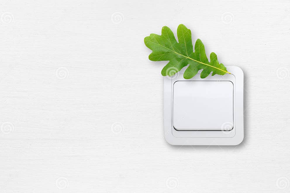 Saving Energy Concept - Light Switch on Wall with Oak Leaf Stock Photo ...