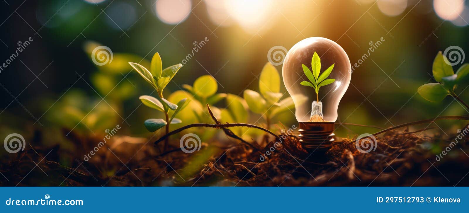 Saving Energy and Environment. Tree Growth in Light Bulb for Saving ...