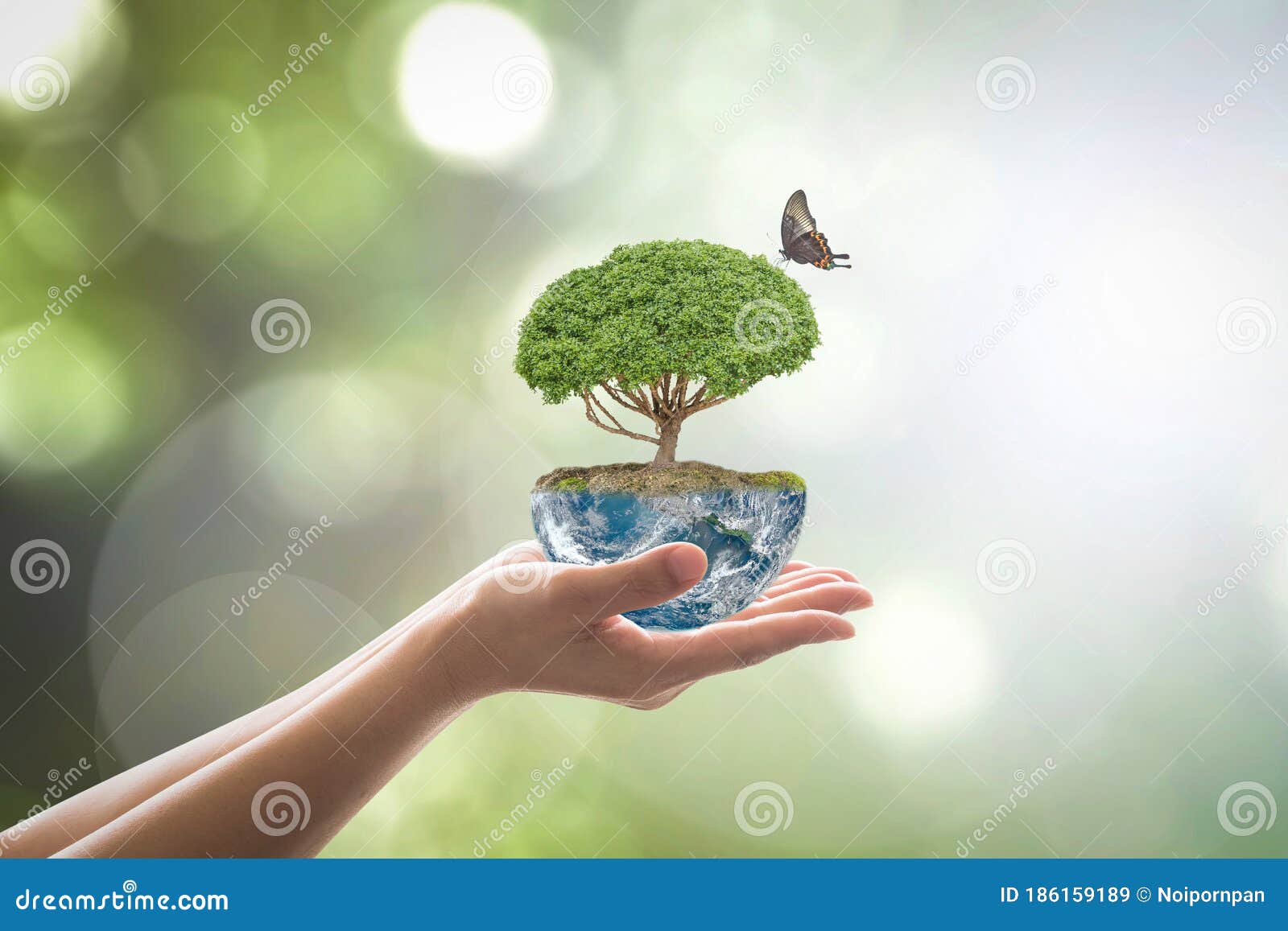 Saving Environment and Natural Conservation Concept with Tree Planing ...