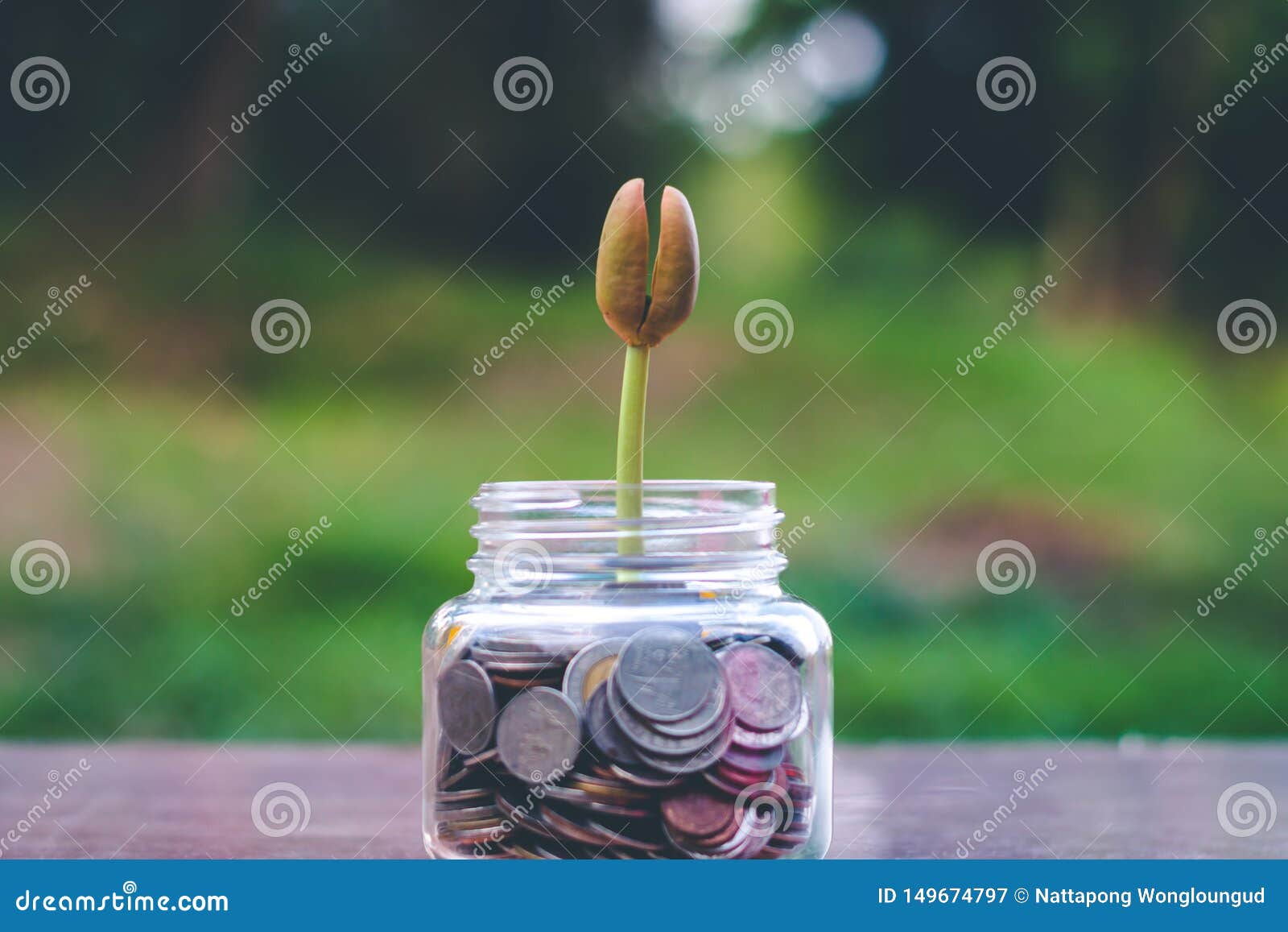 Saving Money for the Future Sustainability, Saving Money Concept Stock ...