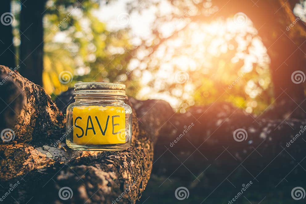 Saving Money for the Future Sustainability, Saving Money Concept Stock ...