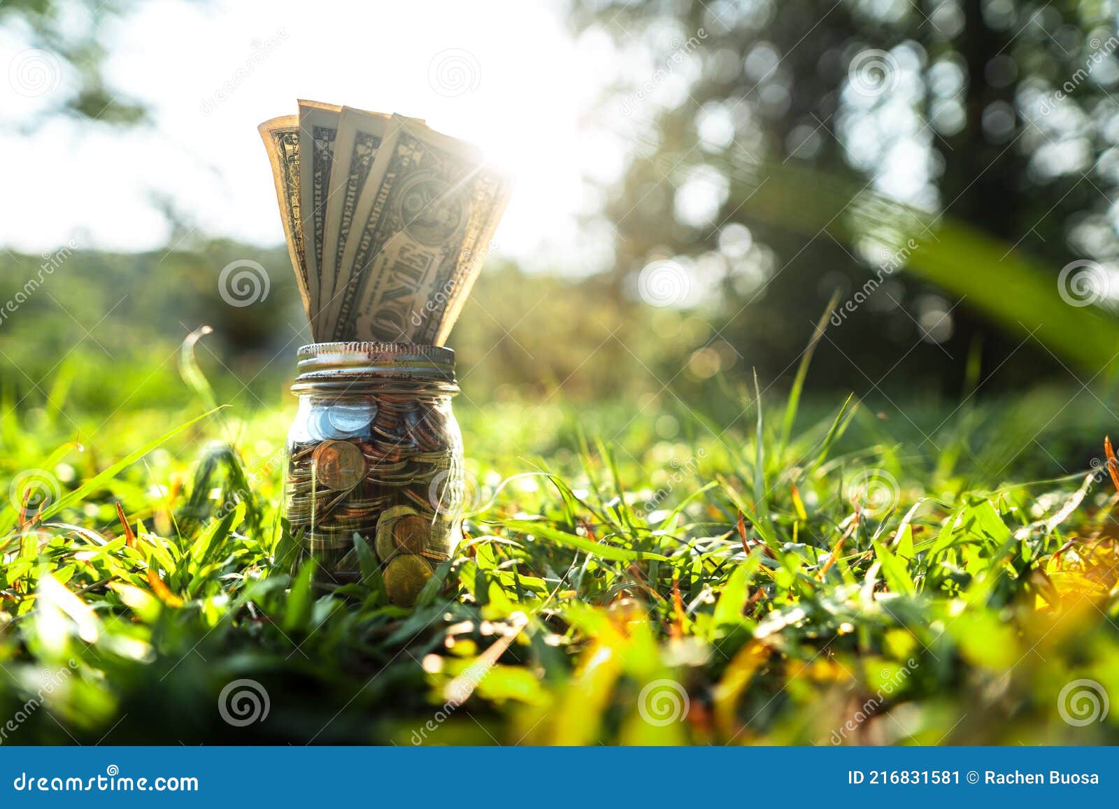 Saving Money and Nature Money in a Jar on the Grass Stock Image - Image ...