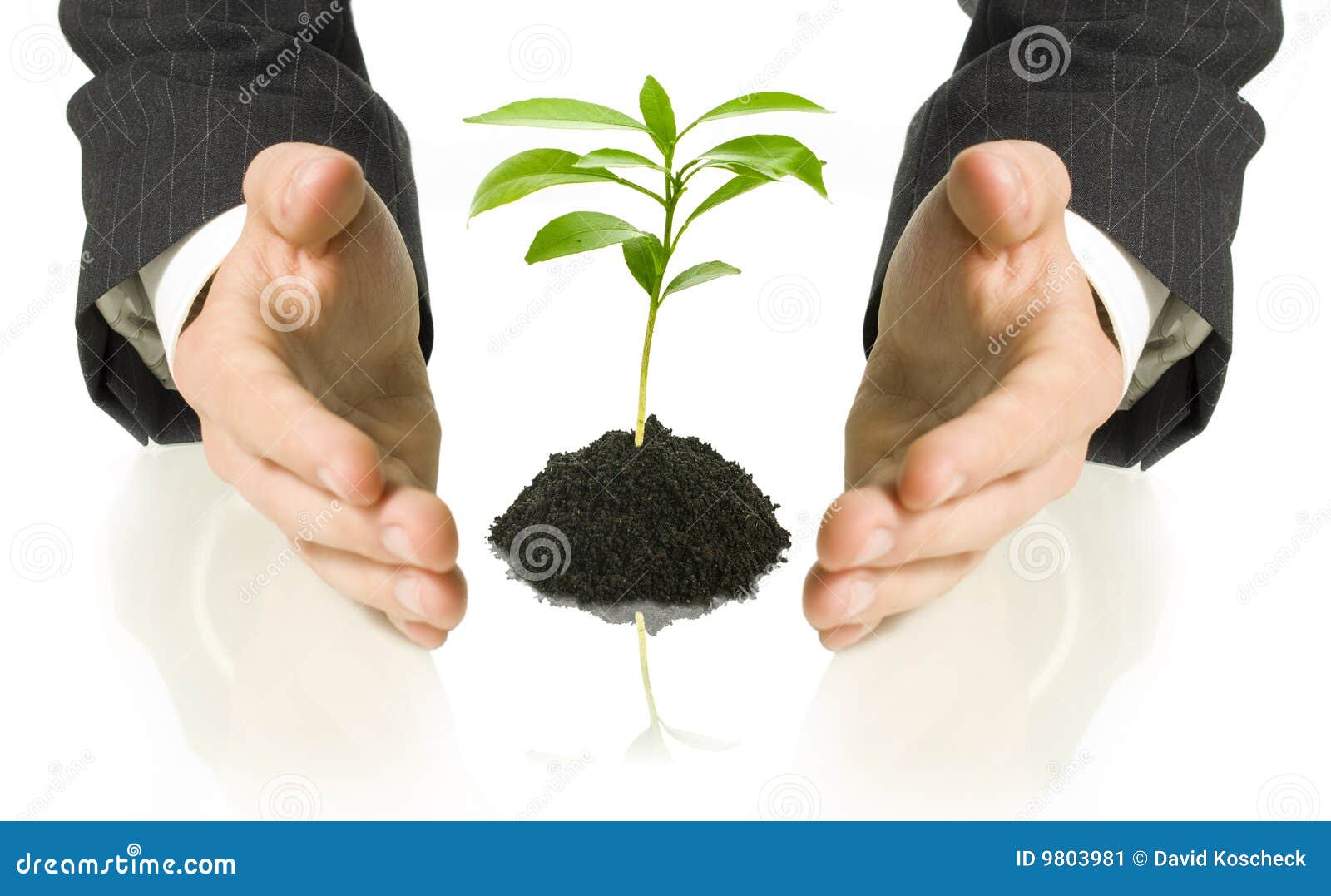Saving nature stock image. Image of concept, plant, environmental - 9803981