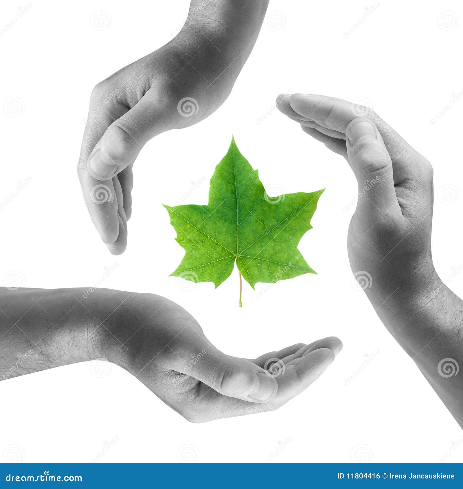 Saving nature concept stock photo. Image of nature, circulation - 11804416