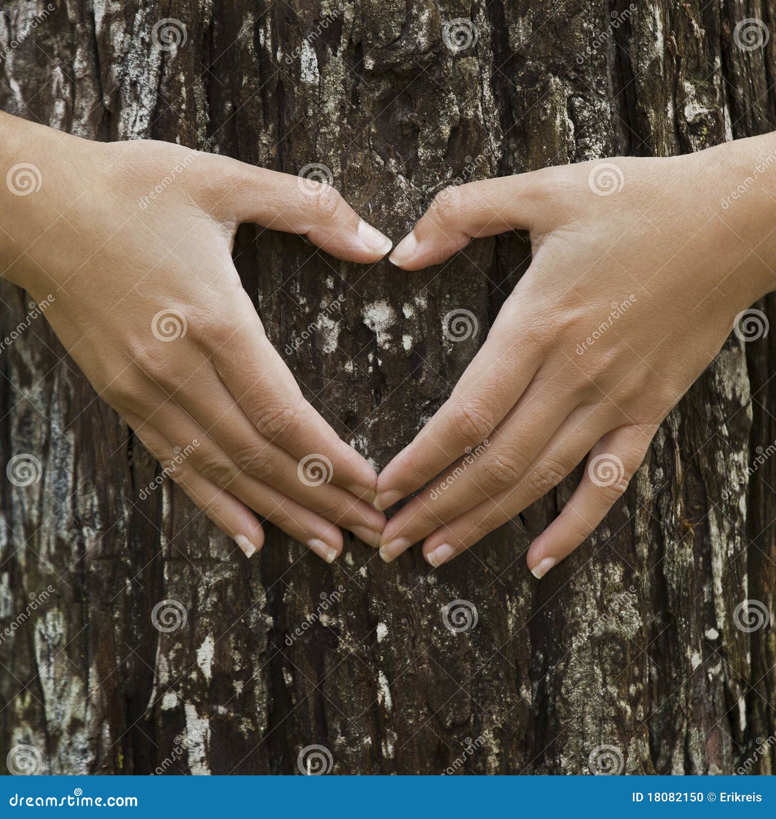 Saving our forest stock photo. Image of love, bark, outside - 18082150