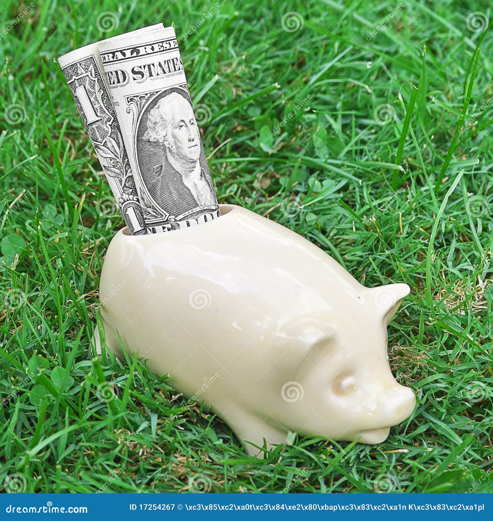 Saving pig on grass stock image. Image of business, economy - 17254267