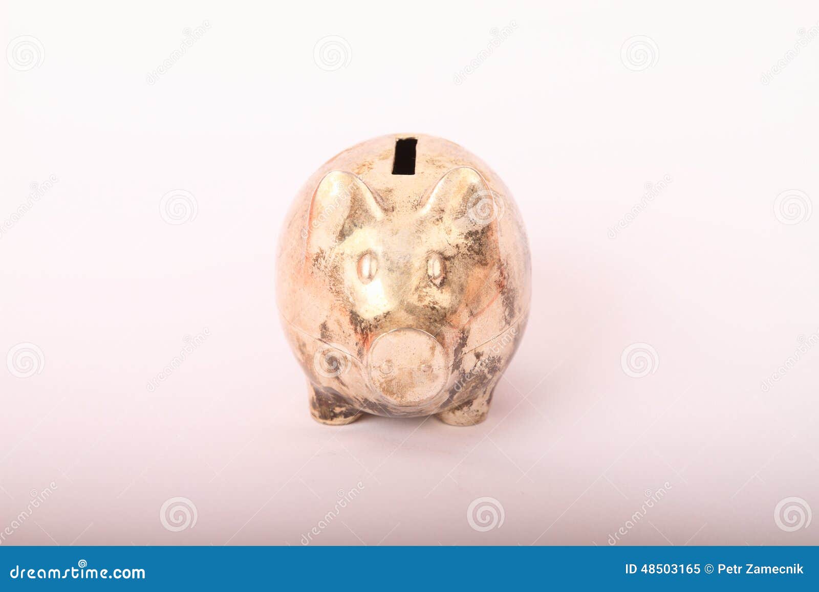 Saving pig stock image. Image of savings, bank, financial - 48503165