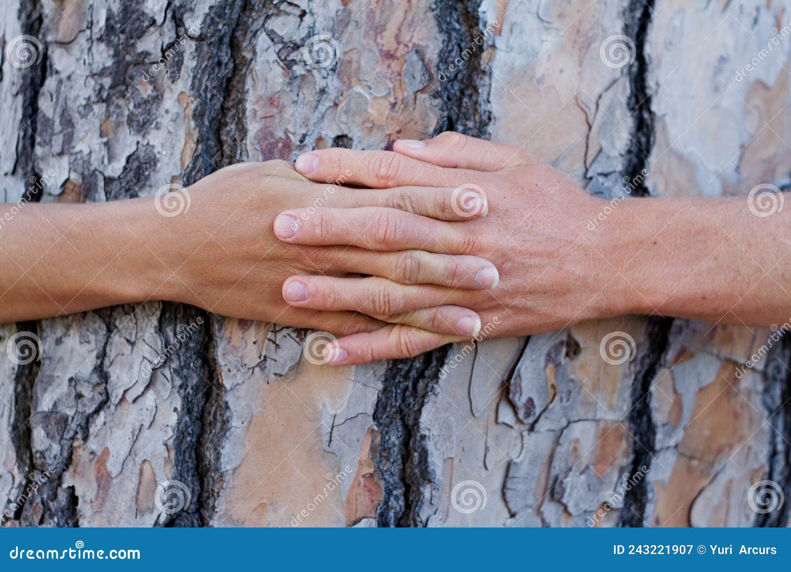Saving Trees One at a Time. Shot of Someone Hugging a Tree in the Woods ...