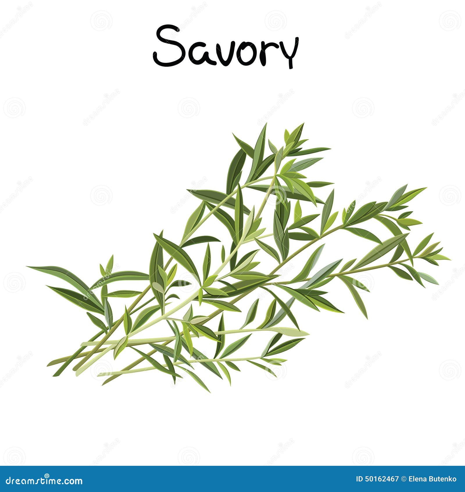 Savory Stock Illustrations – 45,369 Savory Stock Illustrations, Vectors ...