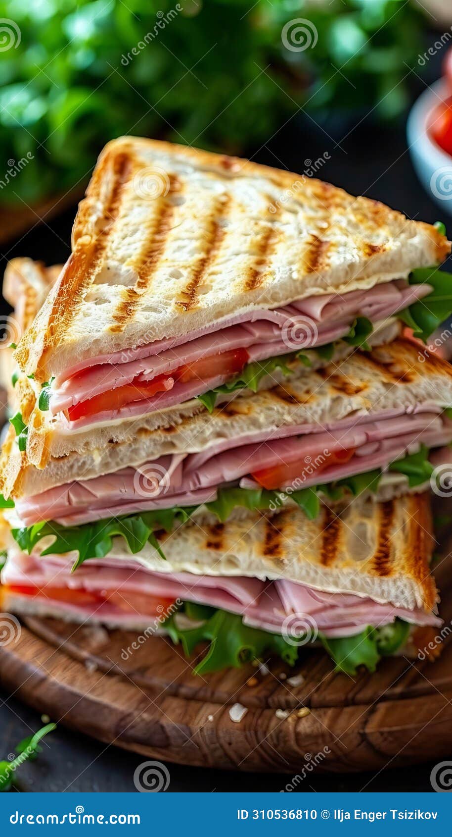 Savory Triangle Sandwich with Ham, Cheese, Tomato, and a Side Salad ...