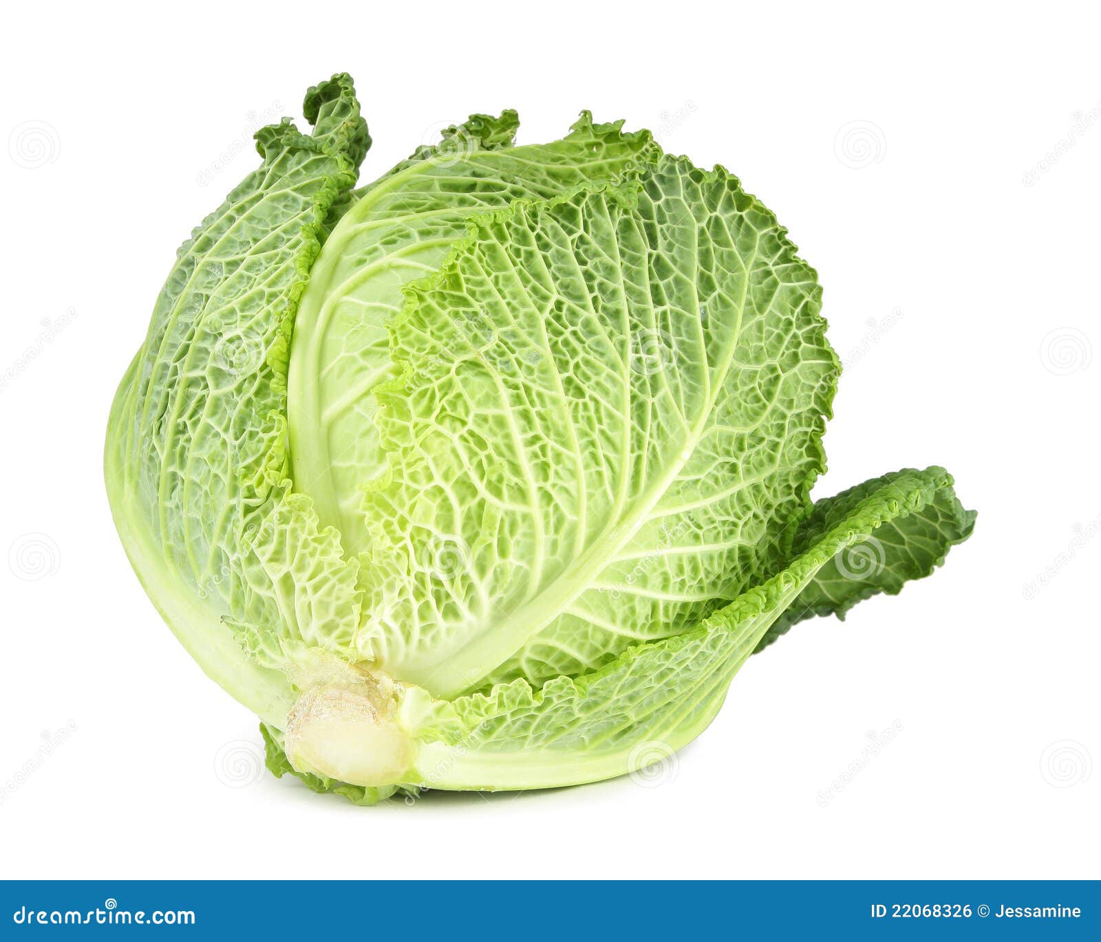 Savoy cabbage stock photo. Image of cabbage, dieting - 22068326