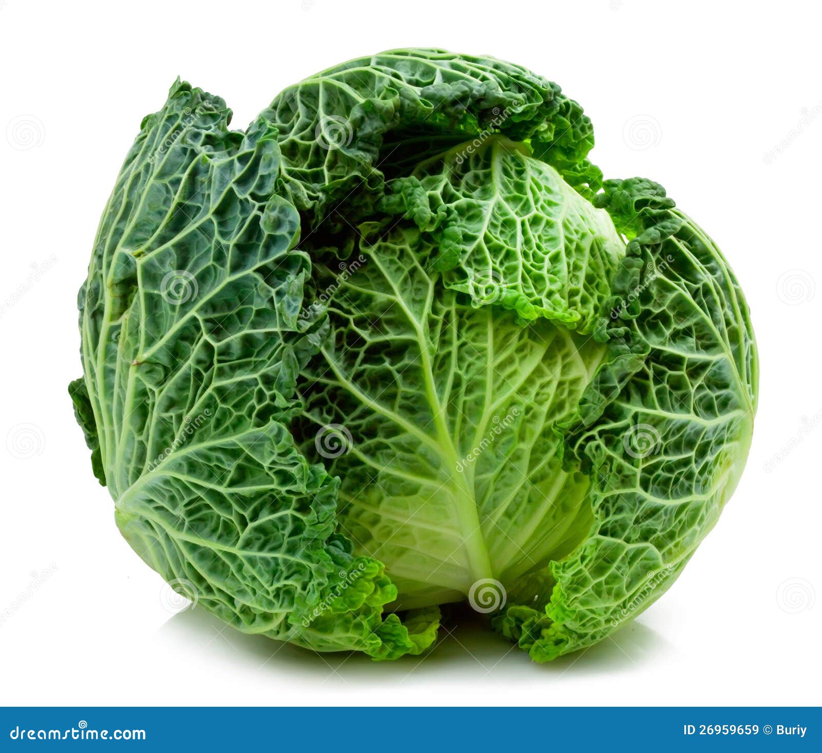 Savoy cabbage stock image. Image of diet, grown, nutrition - 26959659