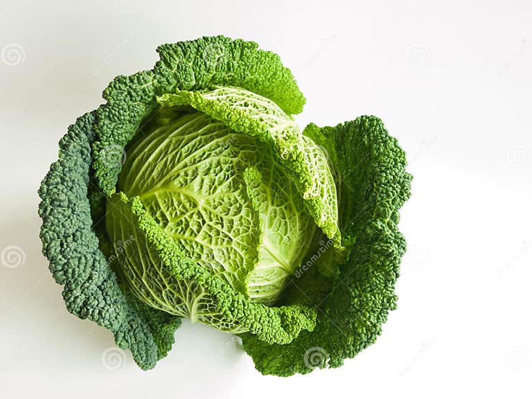 Savoy Cabbage stock photo. Image of lacy, intricate, ribs - 27731970