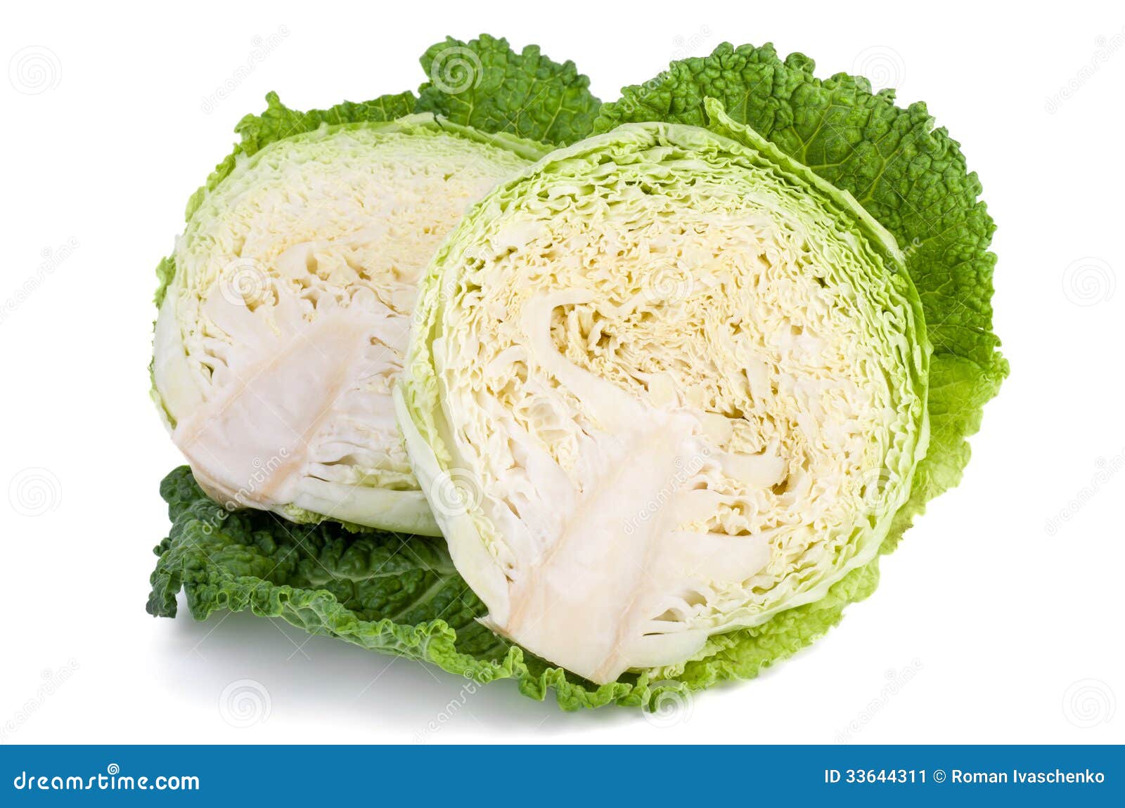 Savoy Cabbage Cutted on Half Stock Image - Image of food, healthy: 33644311