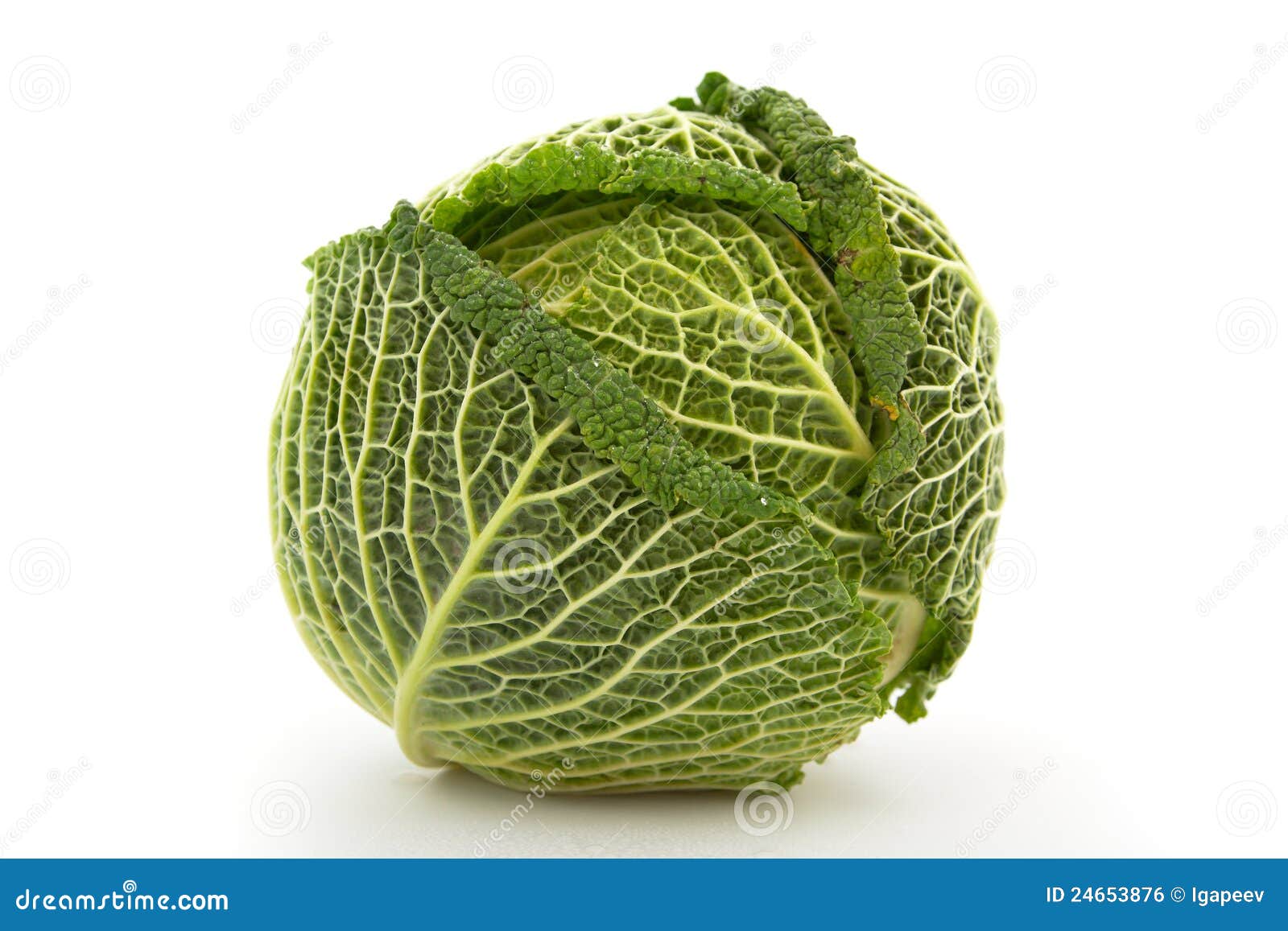 Savoy Cabbage Head Isolated on White Background Stock Photo - Image of ...