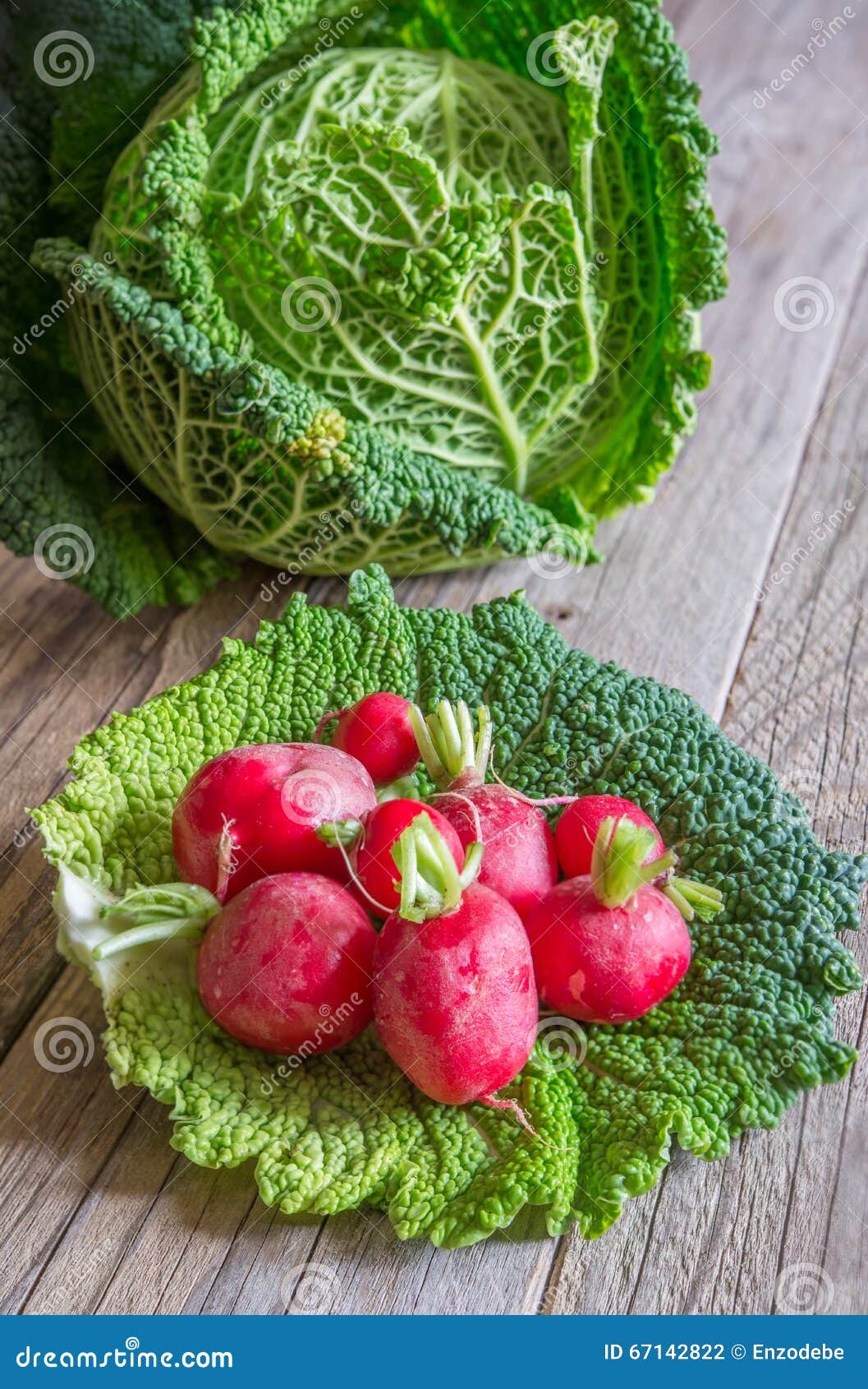 Savoy cabbage and radish stock photo. Image of vegetable - 67142822