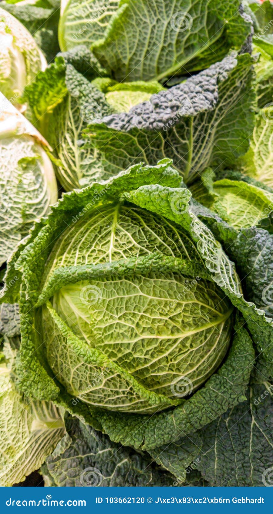 Savoy Cabbage Sales Stand in a Supermarket Stock Photo - Image of ...