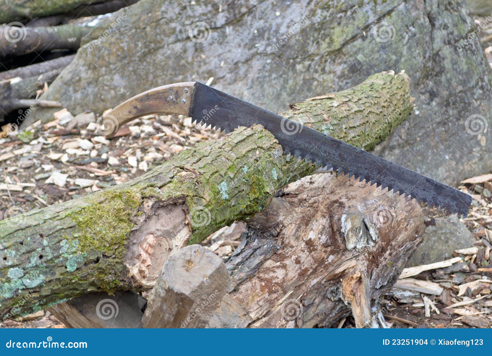 Saw stock photo. Image of bright, tool, steel, logging - 23251904