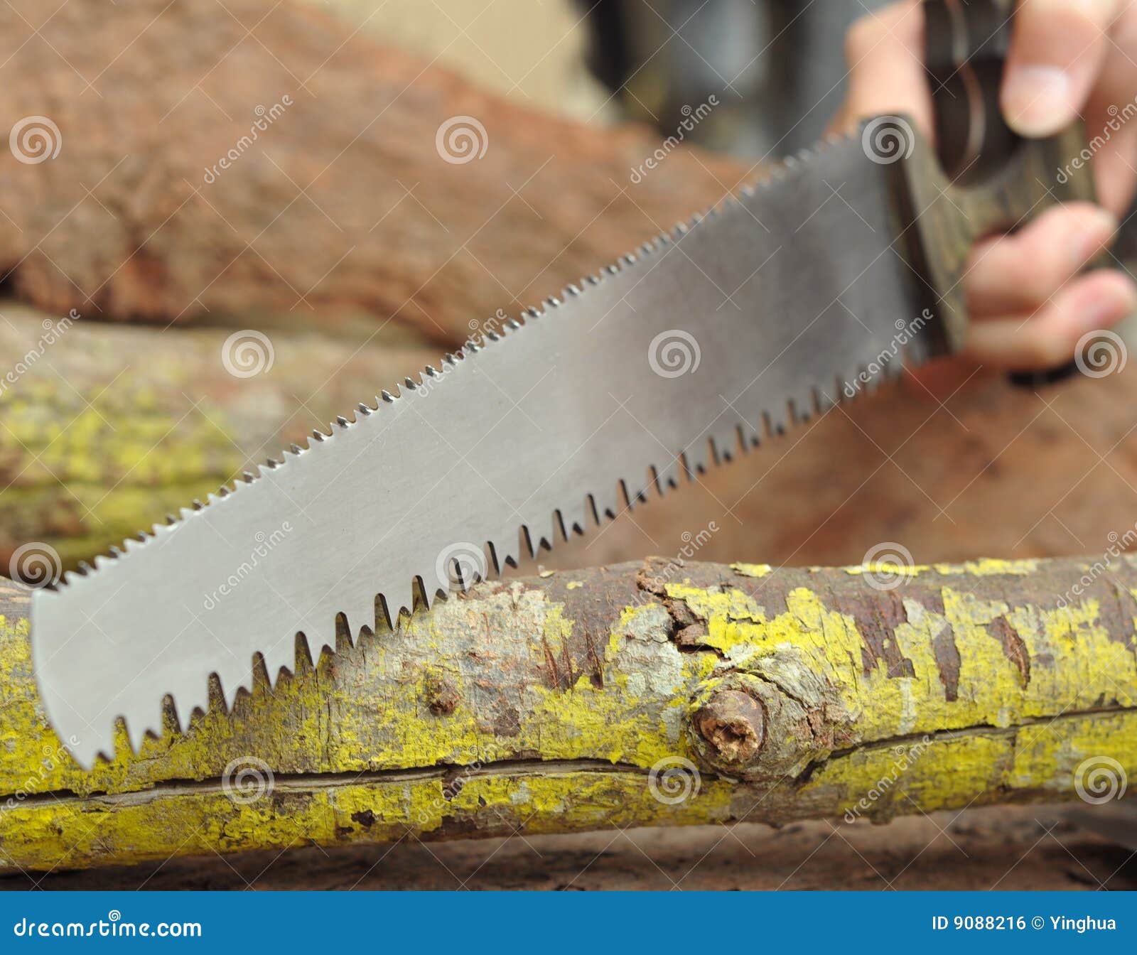 Saw stock photo. Image of wood, tree, carpenter, carpentry - 9088216