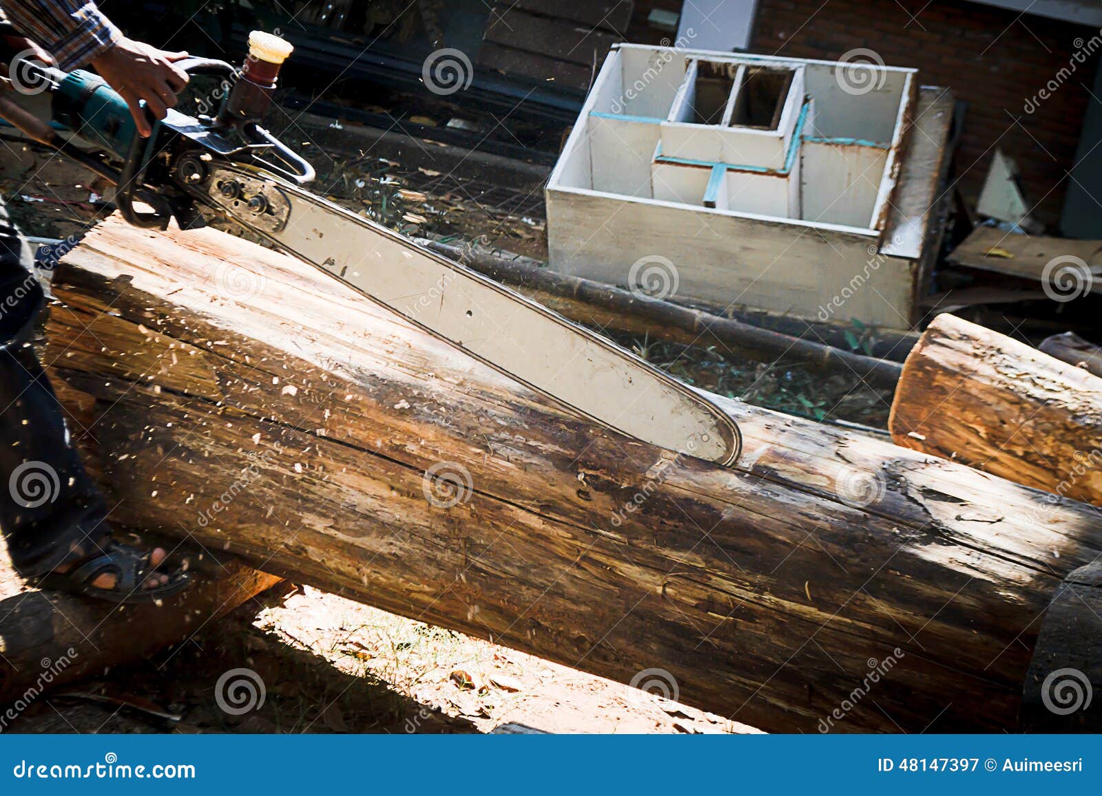 Saw Blade for Cutting Timber Stock Image - Image of trunk, timber: 48147397