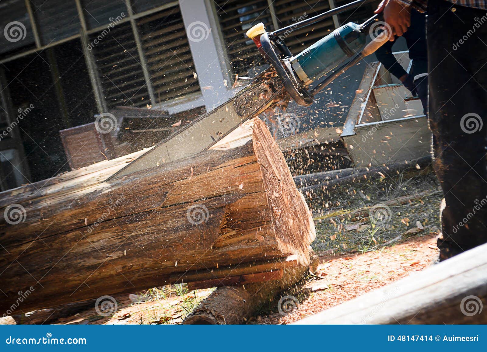Saw Blade for Cutting Timber Stock Photo - Image of tree, trunk: 48147414