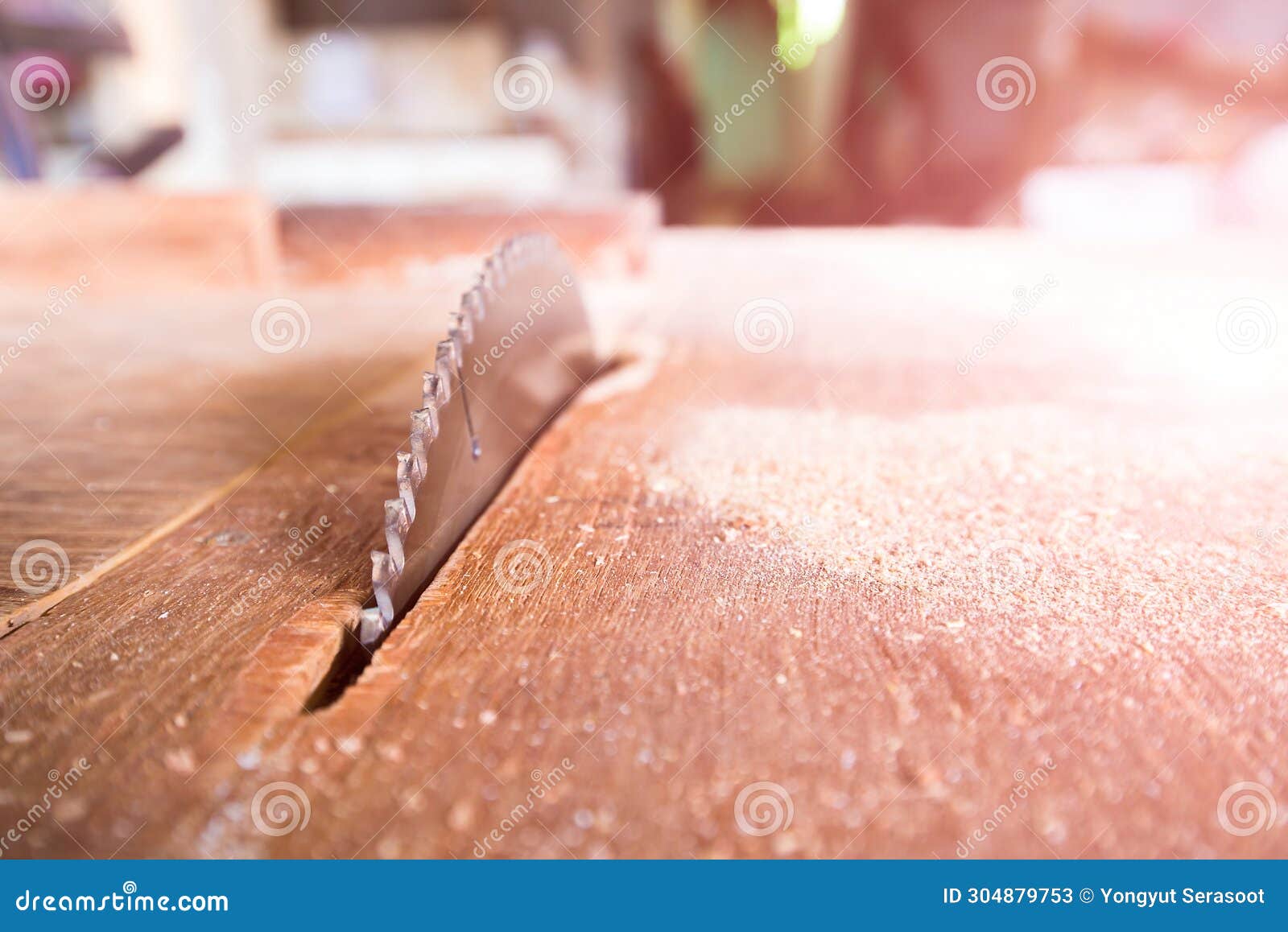 Saw Blade, Sharp, Rotating, High Speed and Dangerous Stock Image ...