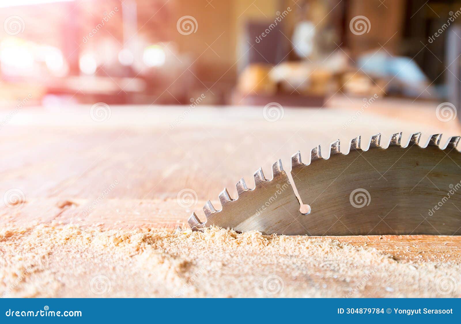 Saw Blade, Sharp, Rotating, High Speed and Dangerous Stock Photo ...