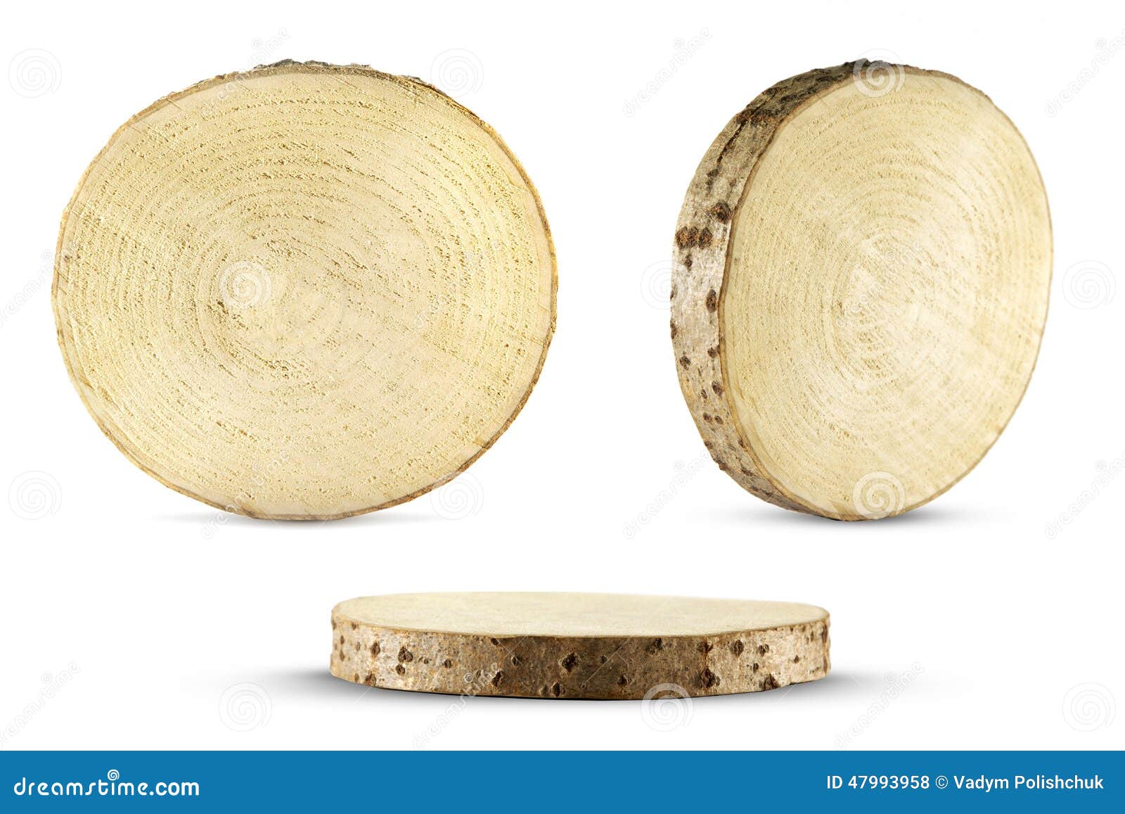 Saw cut tree trunk stock photo. Image of split, strong - 47993958
