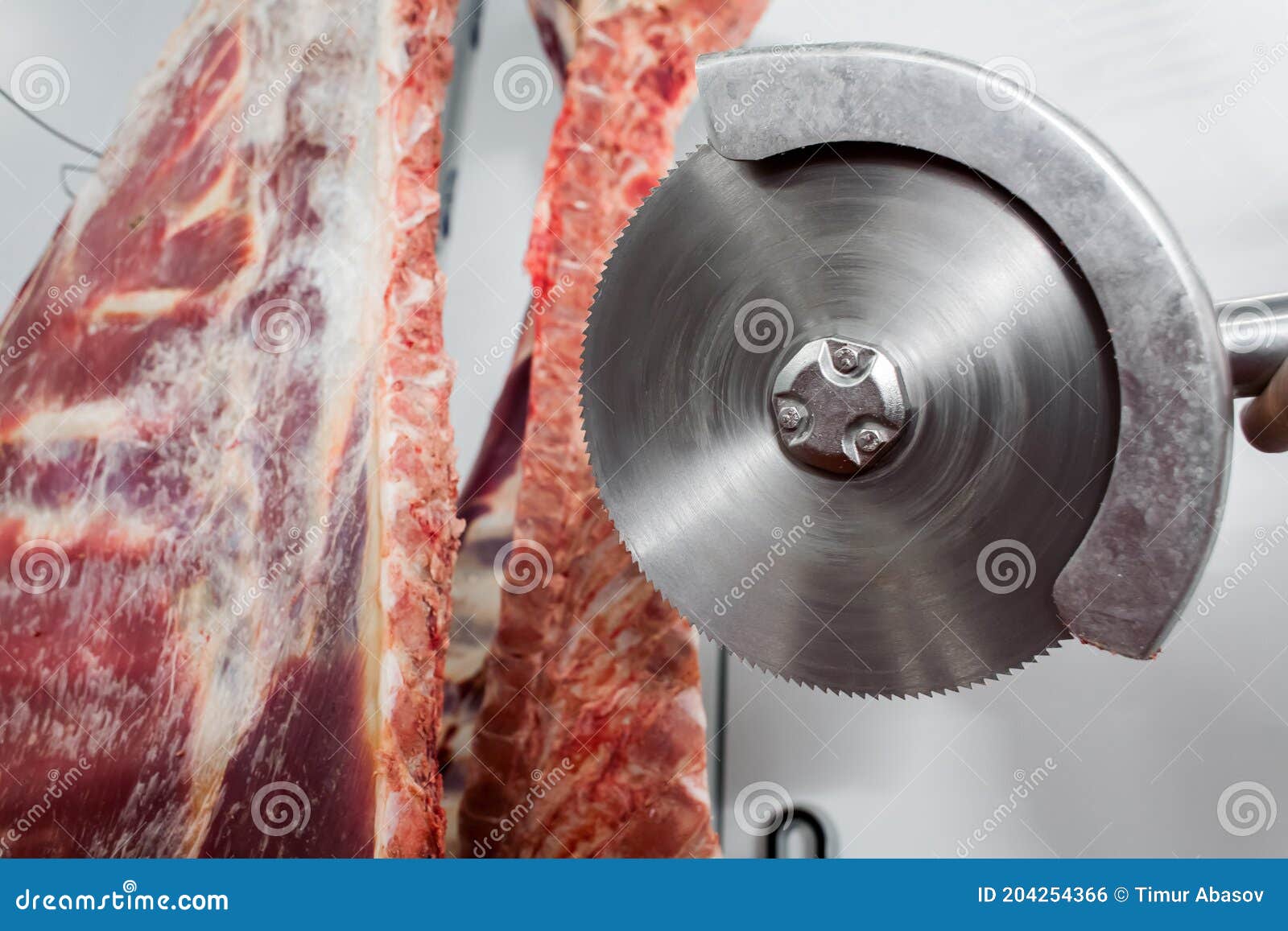Saw for Cutting Beef Carcasses Stock Photo - Image of russia, gourmet ...