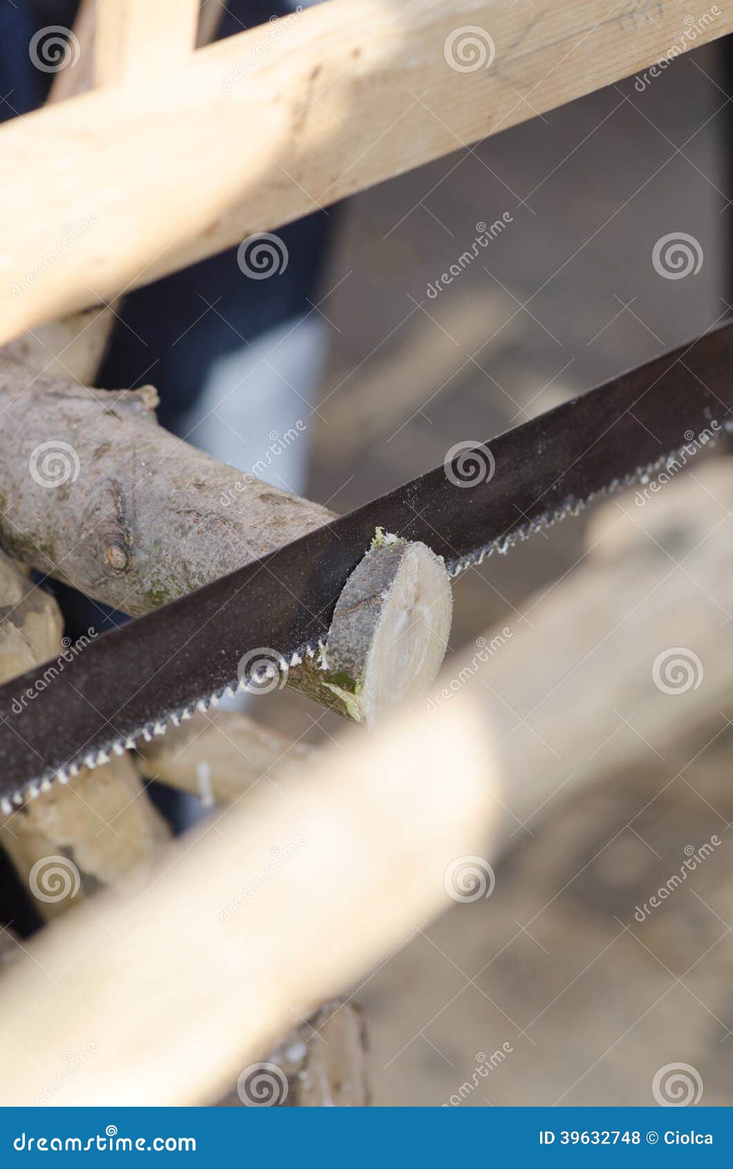 Saw cutting a branch stock photo. Image of chips, finishing - 39632748