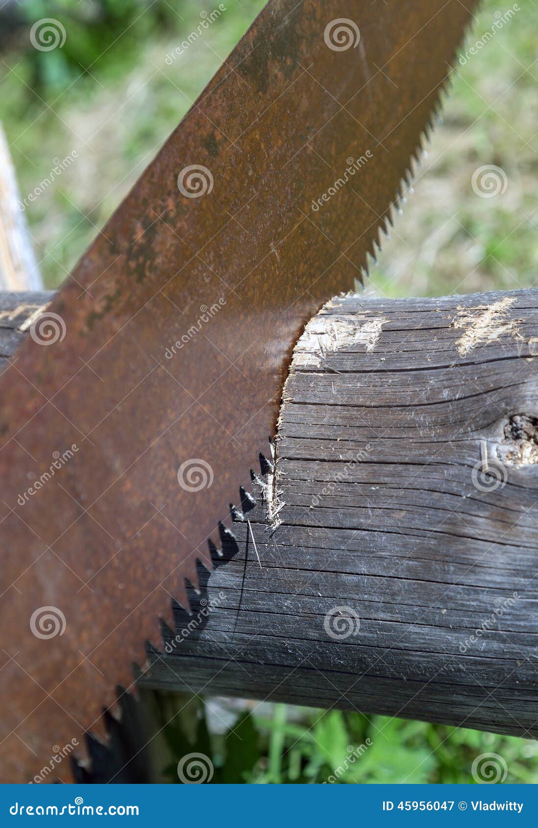 Burn Severity Stock Photos - Free & Royalty-Free Stock Photos from ...