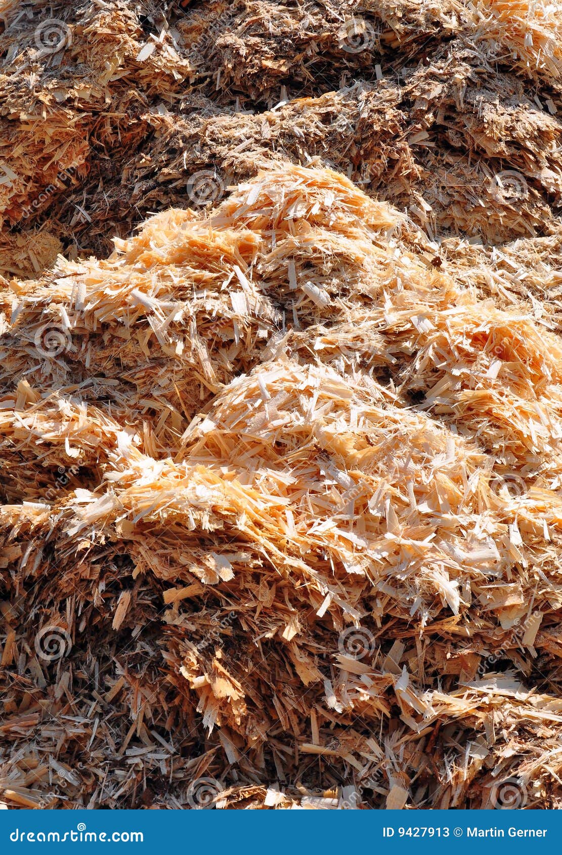 Saw Mill Waste stock image. Image of waste, sawdust, boards - 9427913