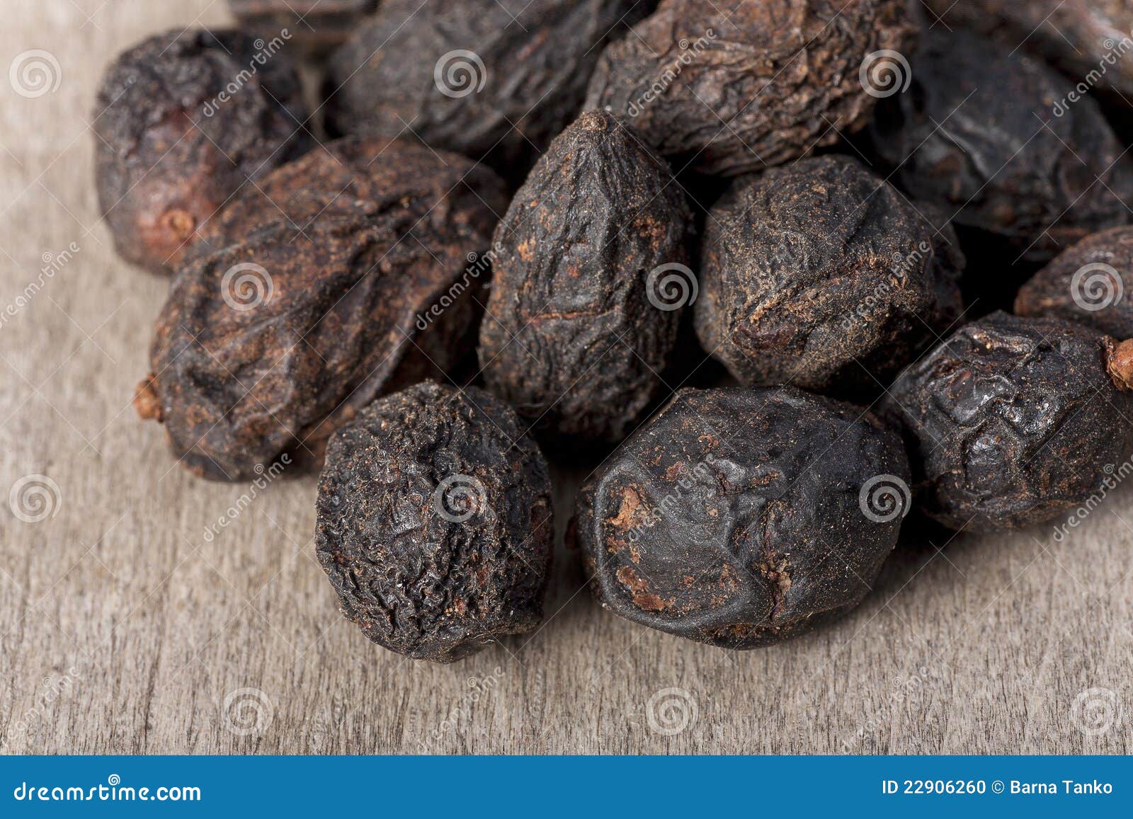Saw palmetto seeds stock photo. Image of health, healing - 22906260