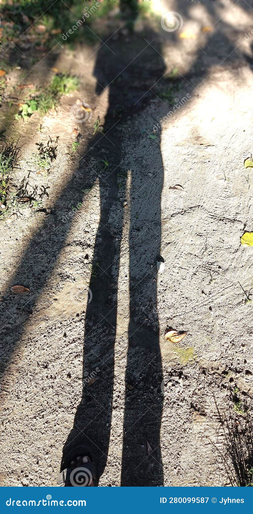 Saw a shadow on the ground stock image. Image of flooring - 280099587