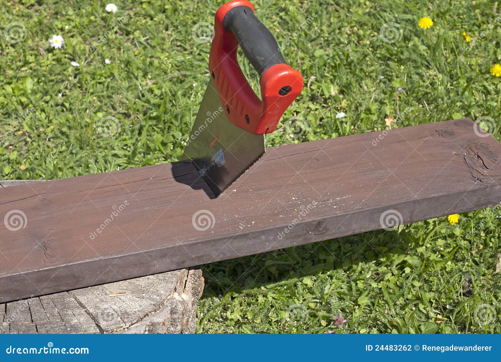 The Saw and the Wooden Board Stock Photo - Image of wooden, sawing ...