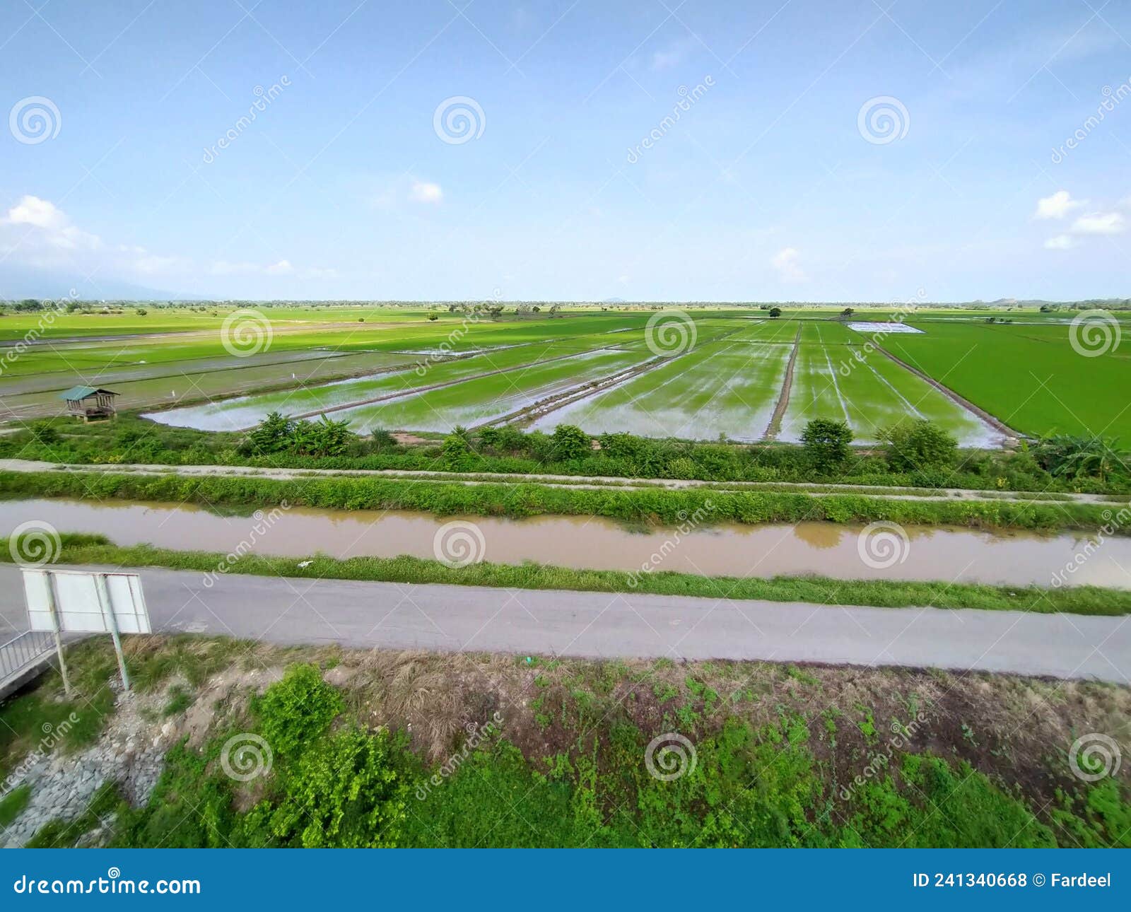 Sawah Padi Field Kedah Green Foto de archivo - Imagen de largest ...