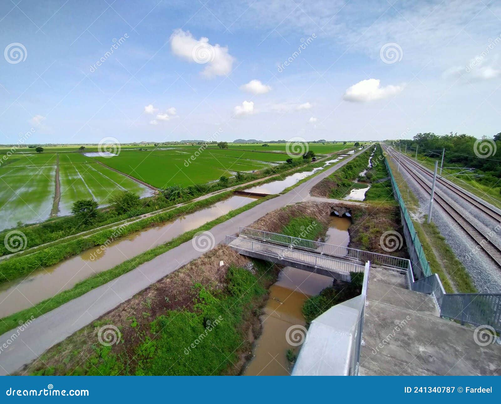 Sawah Padi Kedah Railway Utara Stock Image - Image of padi ...