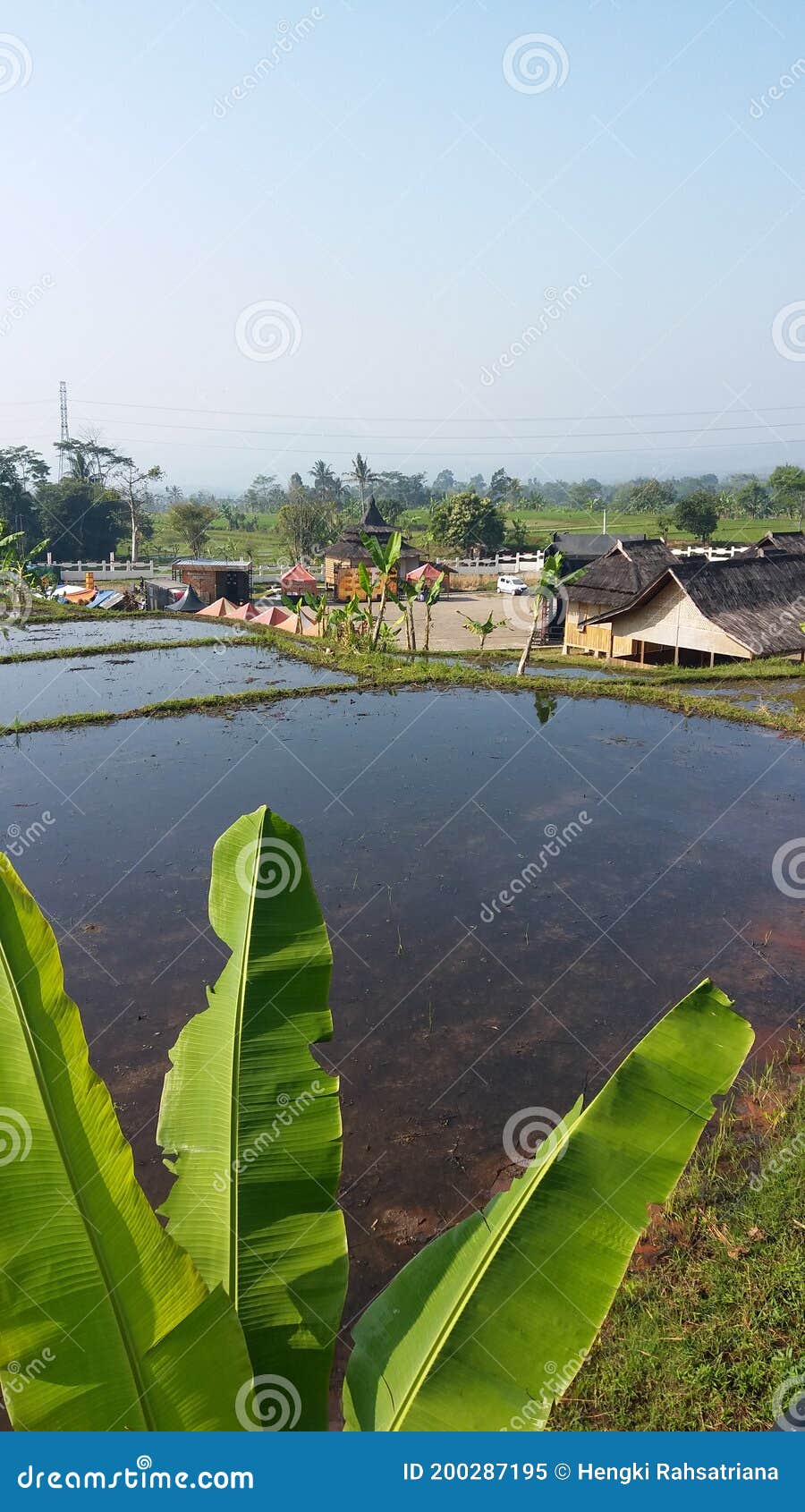 Sawah view in Indonesia stock image. Image of green - 200287195