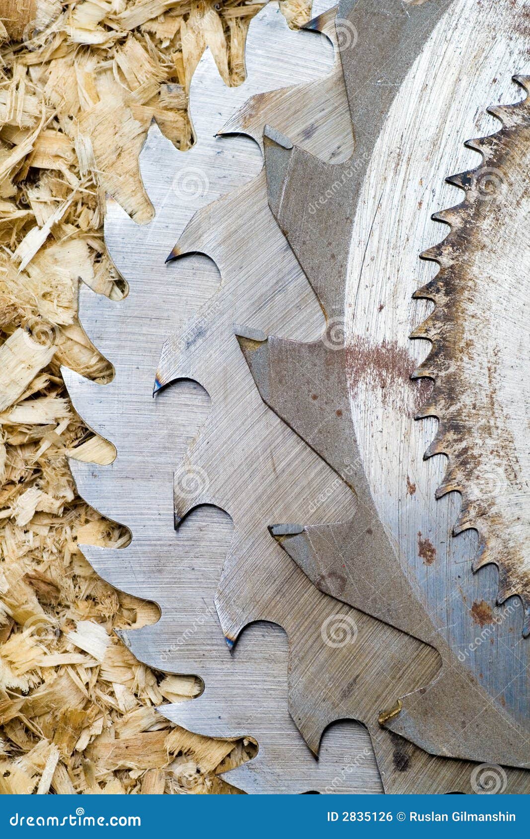 Sawblades stock photo. Image of rotary, stainless, sawdust - 2835126