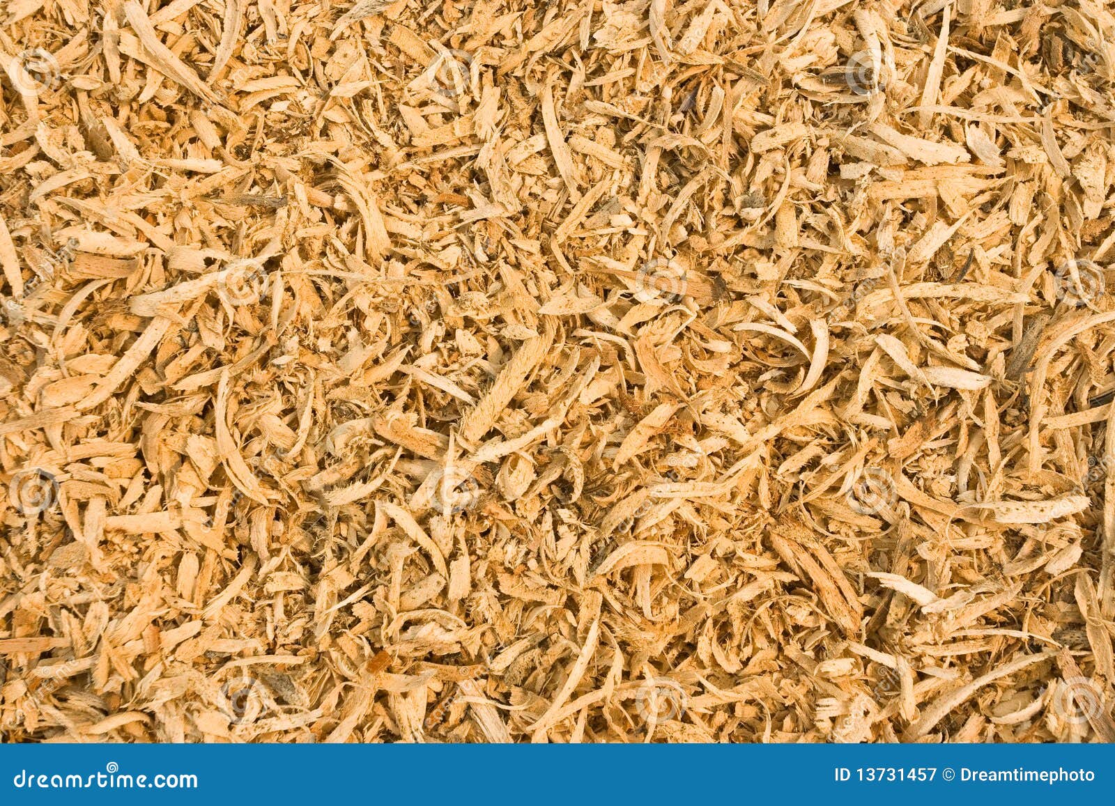 Sawdust stock image. Image of texture, yellow, wood, brown - 13731457
