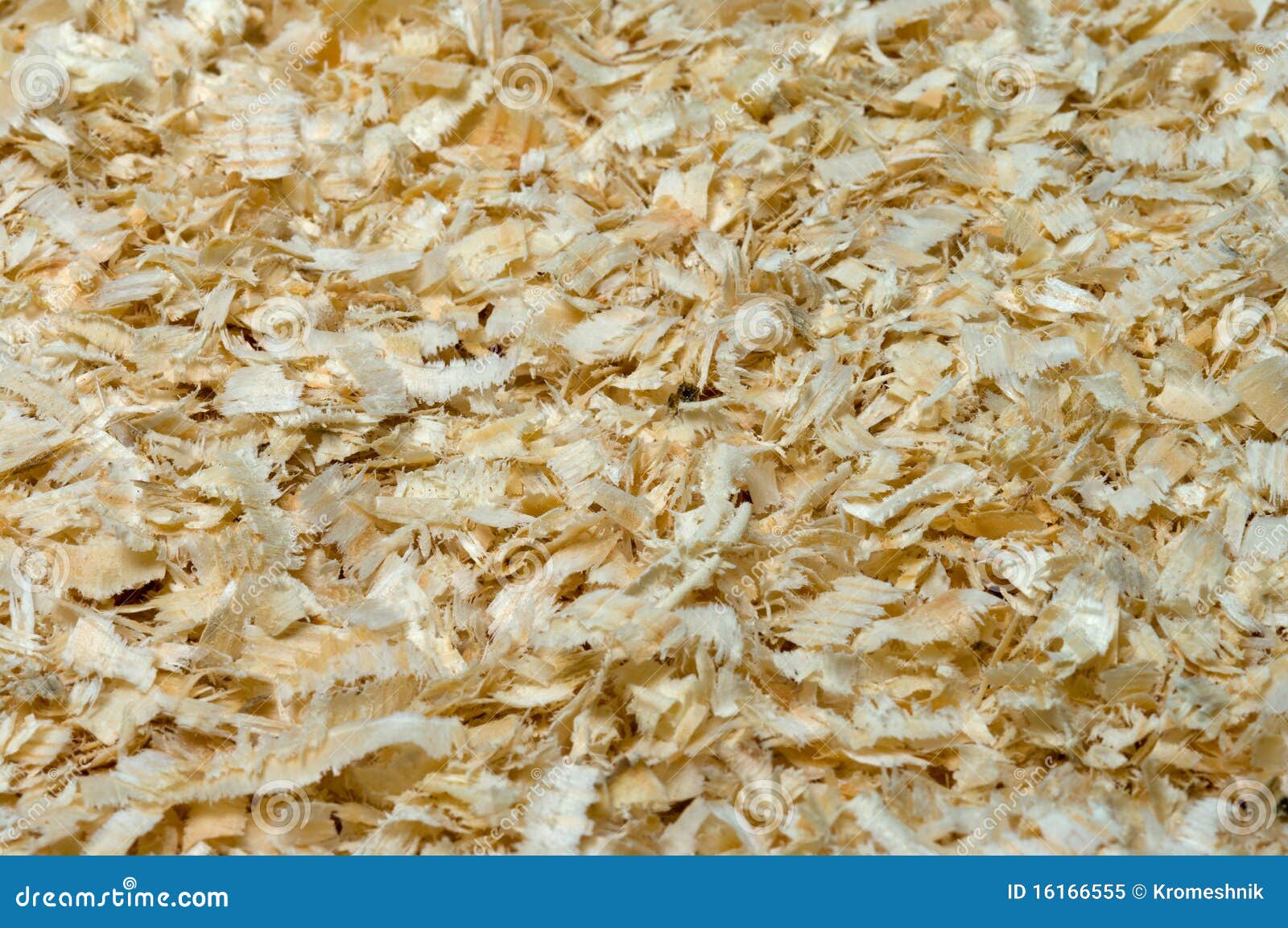 Sawdust. stock image. Image of helical, lumber, organic - 16166555
