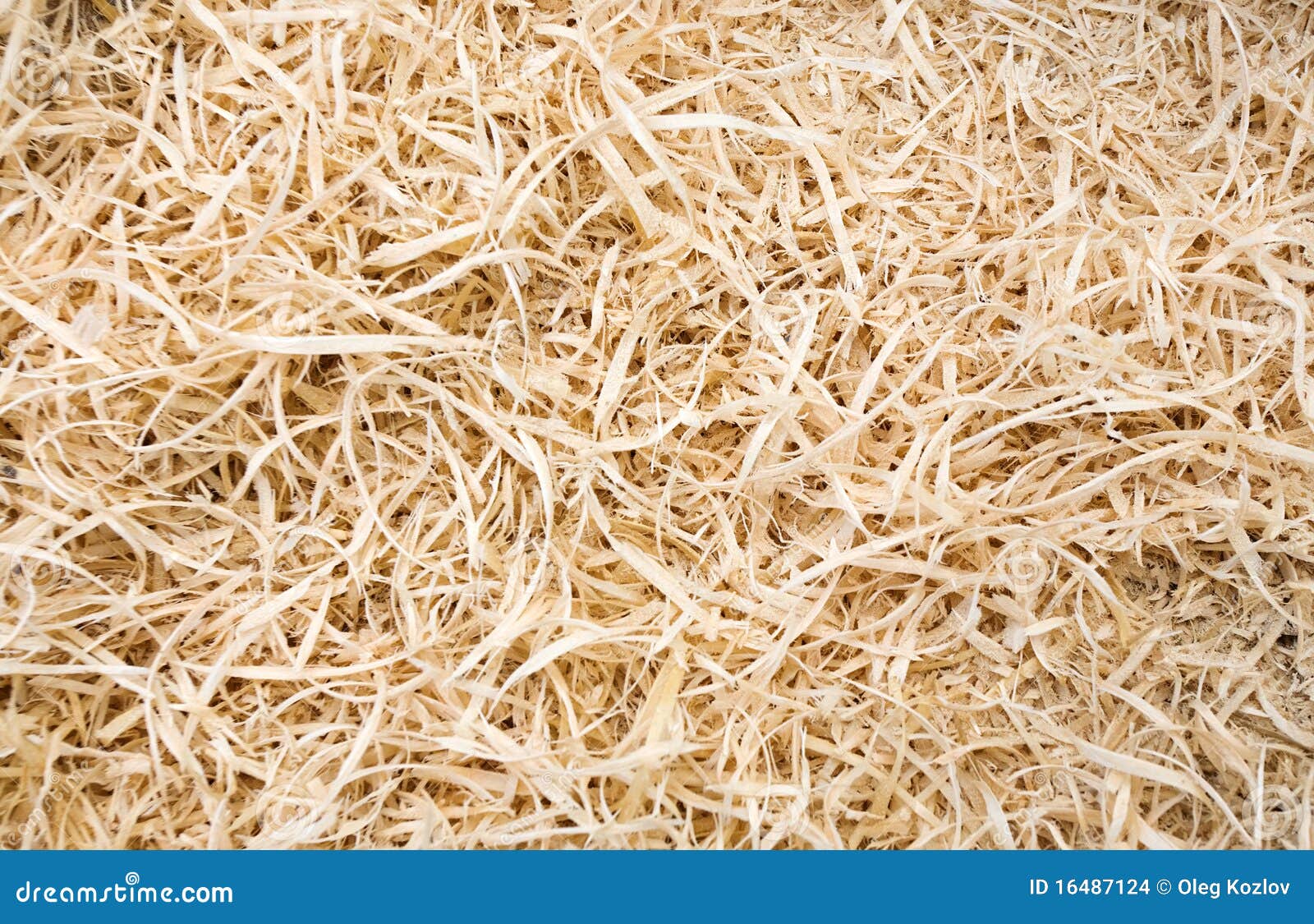 Sawdust stock photo. Image of closeup, background, cutting - 16487124