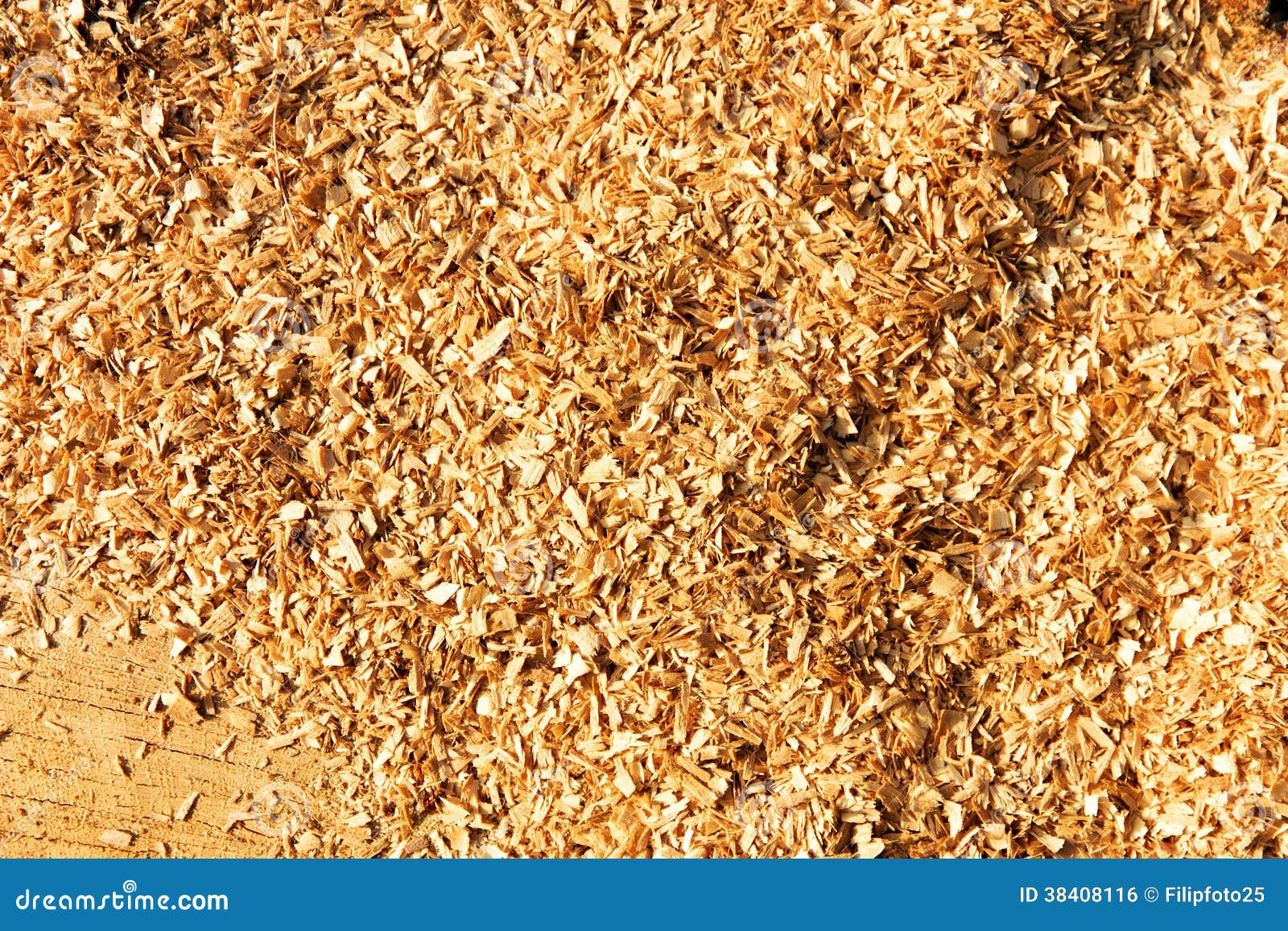 Sawdust stock photo. Image of ecology, environment, seasons - 38408116