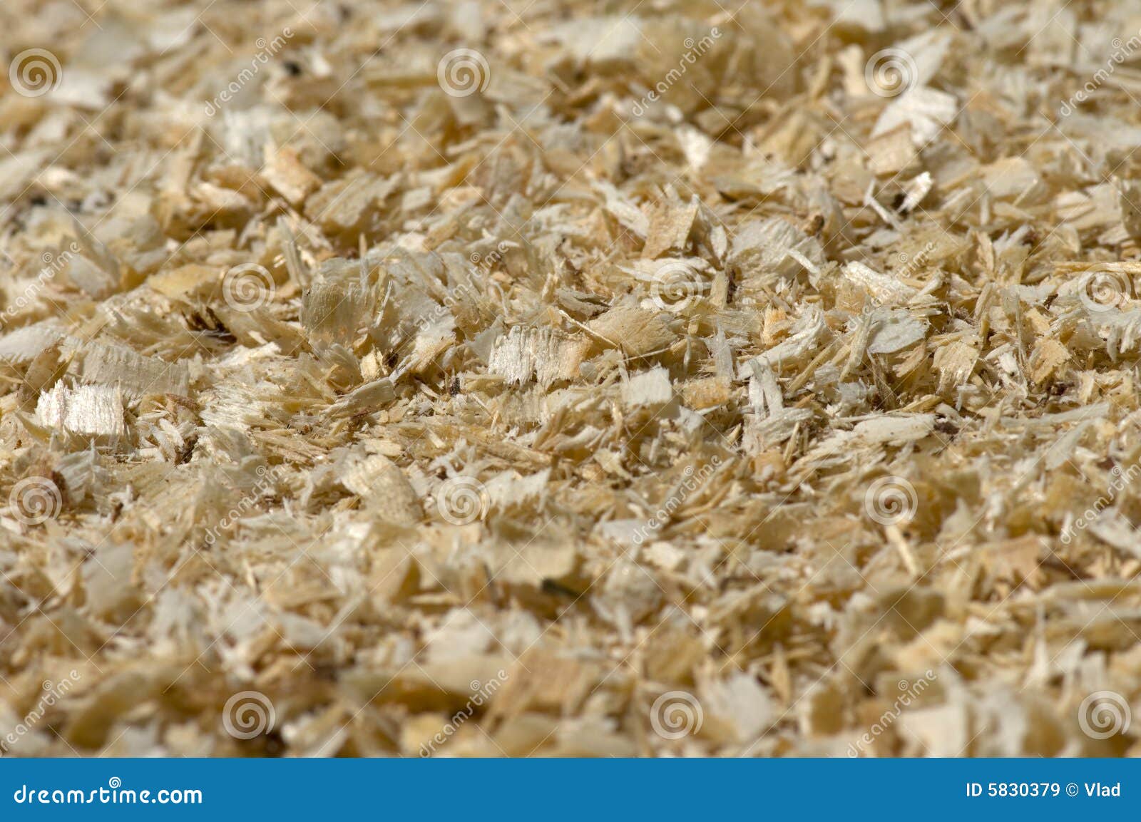 Sawdust Picture. Image: 5830379