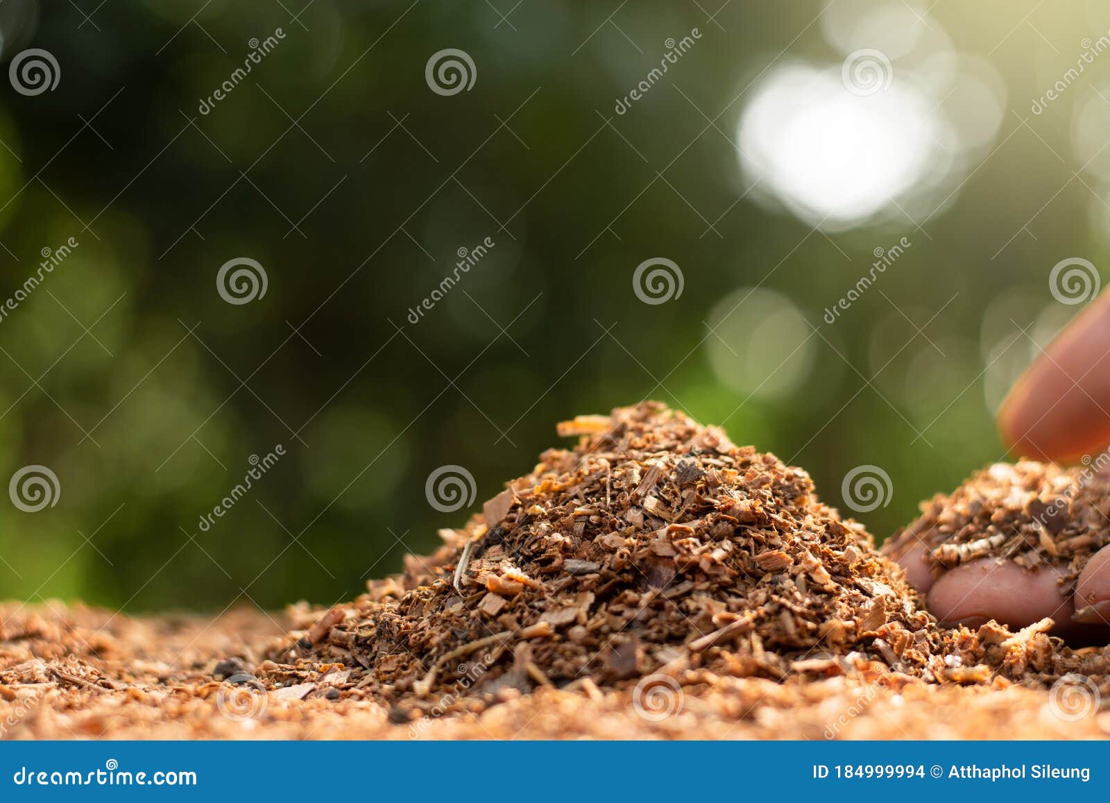 Wood Waste Stock Photography | CartoonDealer.com #7007990