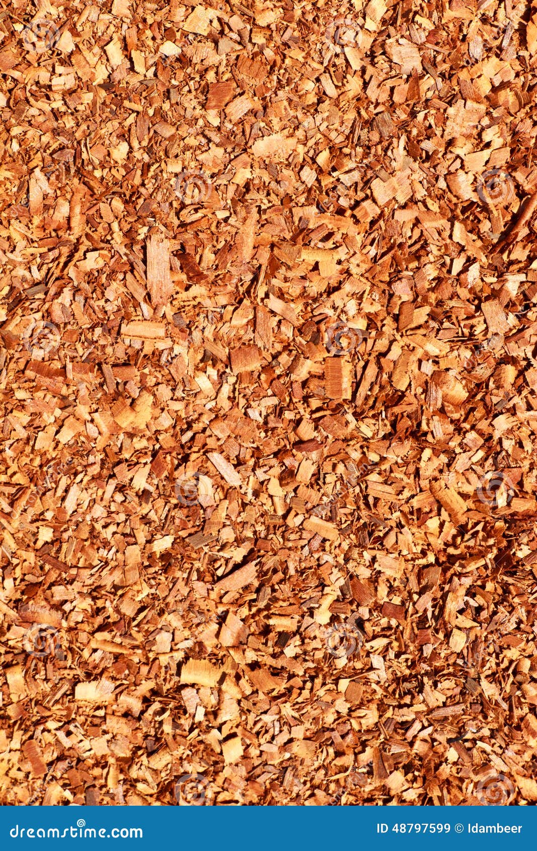 Sawdust stock image. Image of antique, hardwood, filing - 48797599