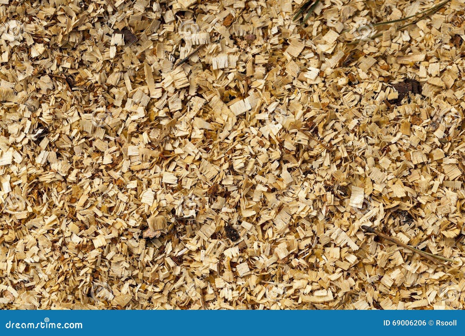 Sawdust close up stock photo. Image of particle, forest - 69006206