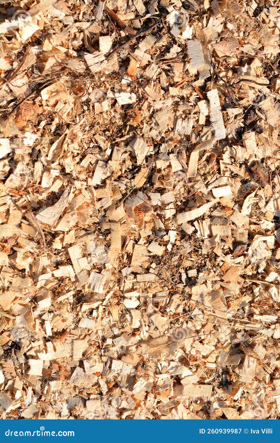 Sawdust stock image. Image of brown, textured, carpentry - 260939987