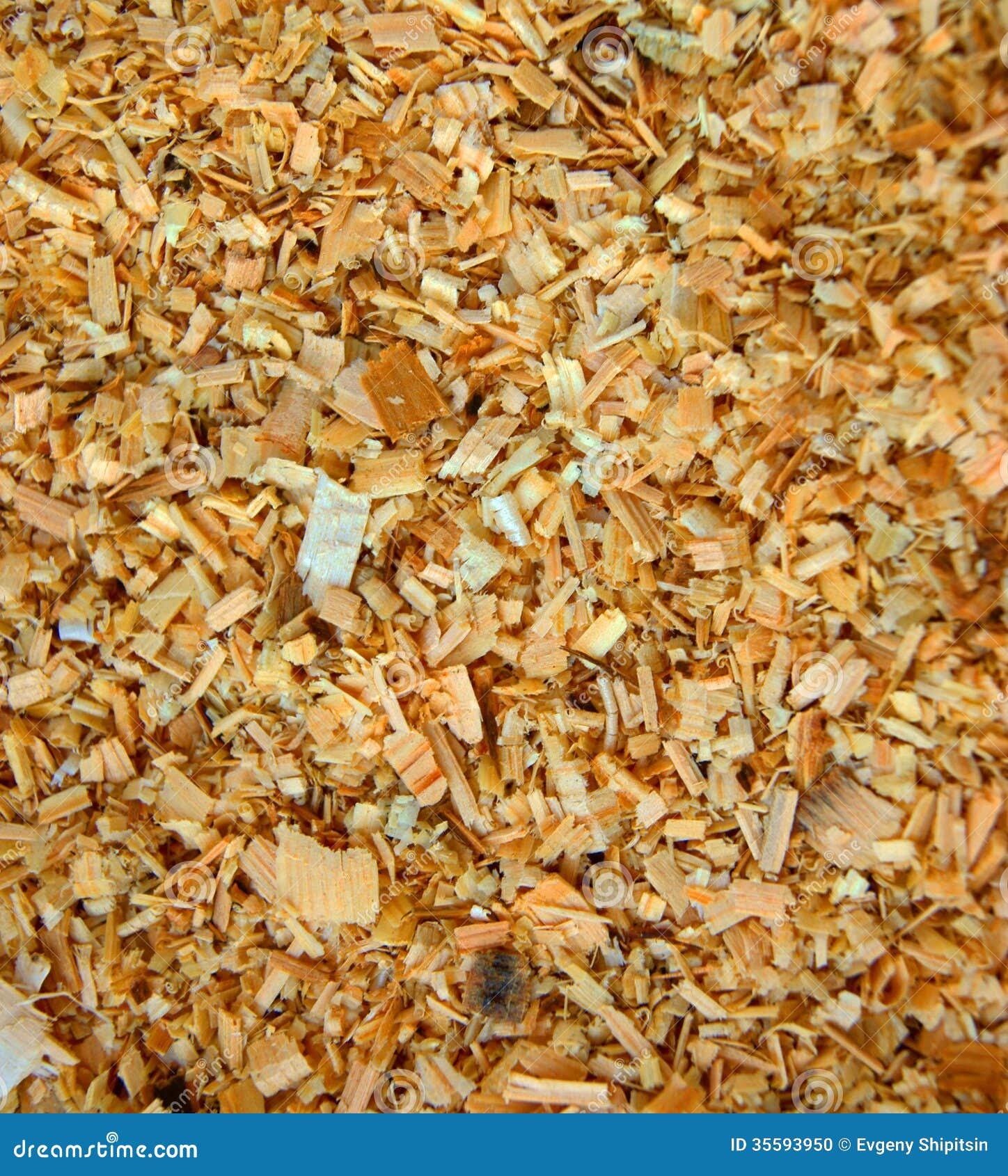 Sawdust on the ground. stock photo. Image of decor, construction - 35593950