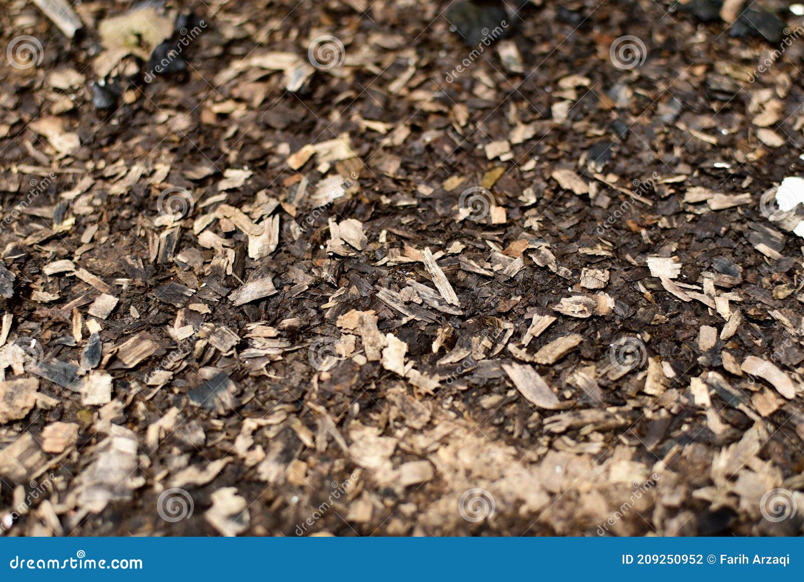 Sawdust on ground stock photo. Image of ground, leaf - 209250952